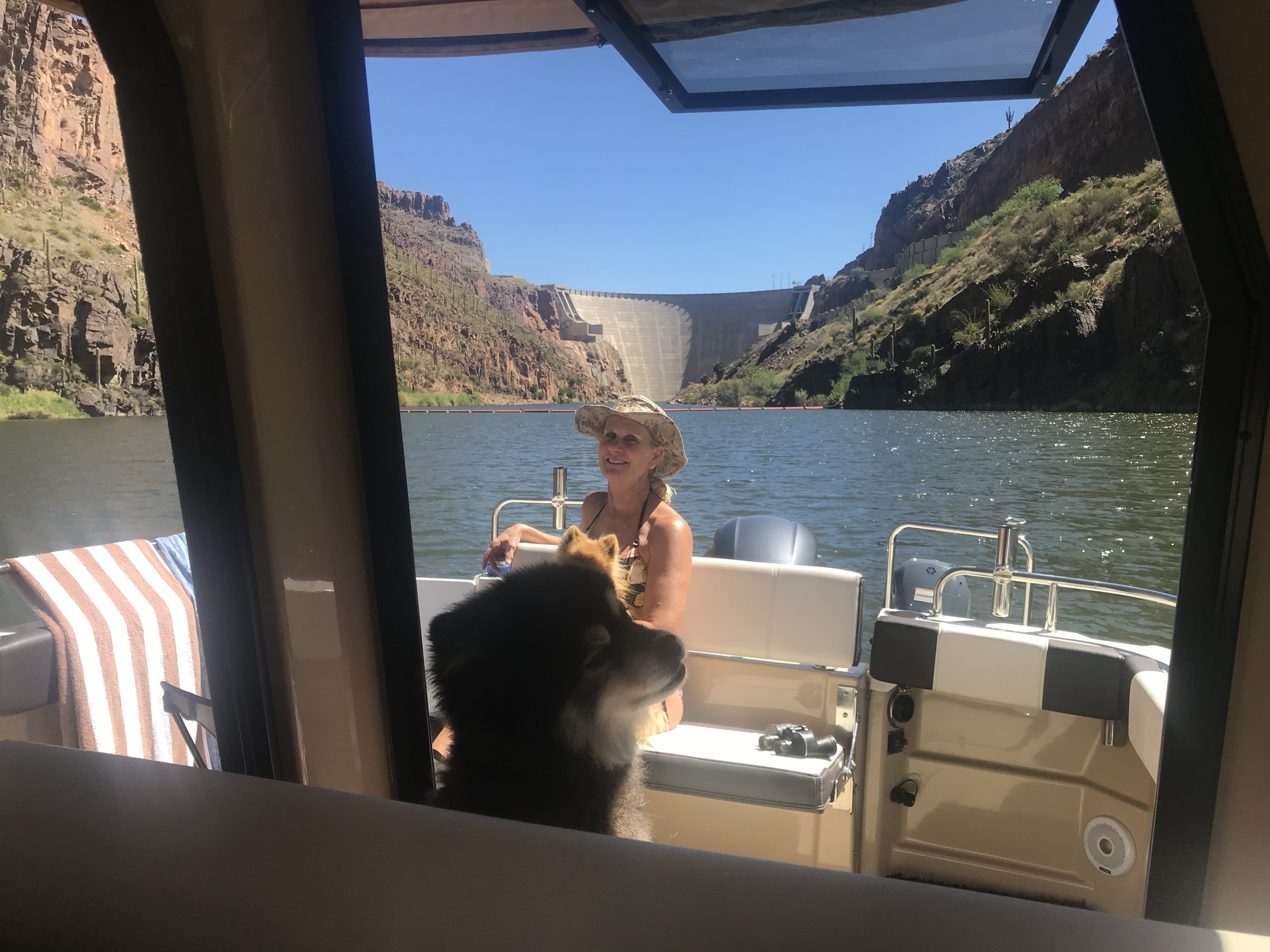 az9133bm.jpeg | The Tugnuts