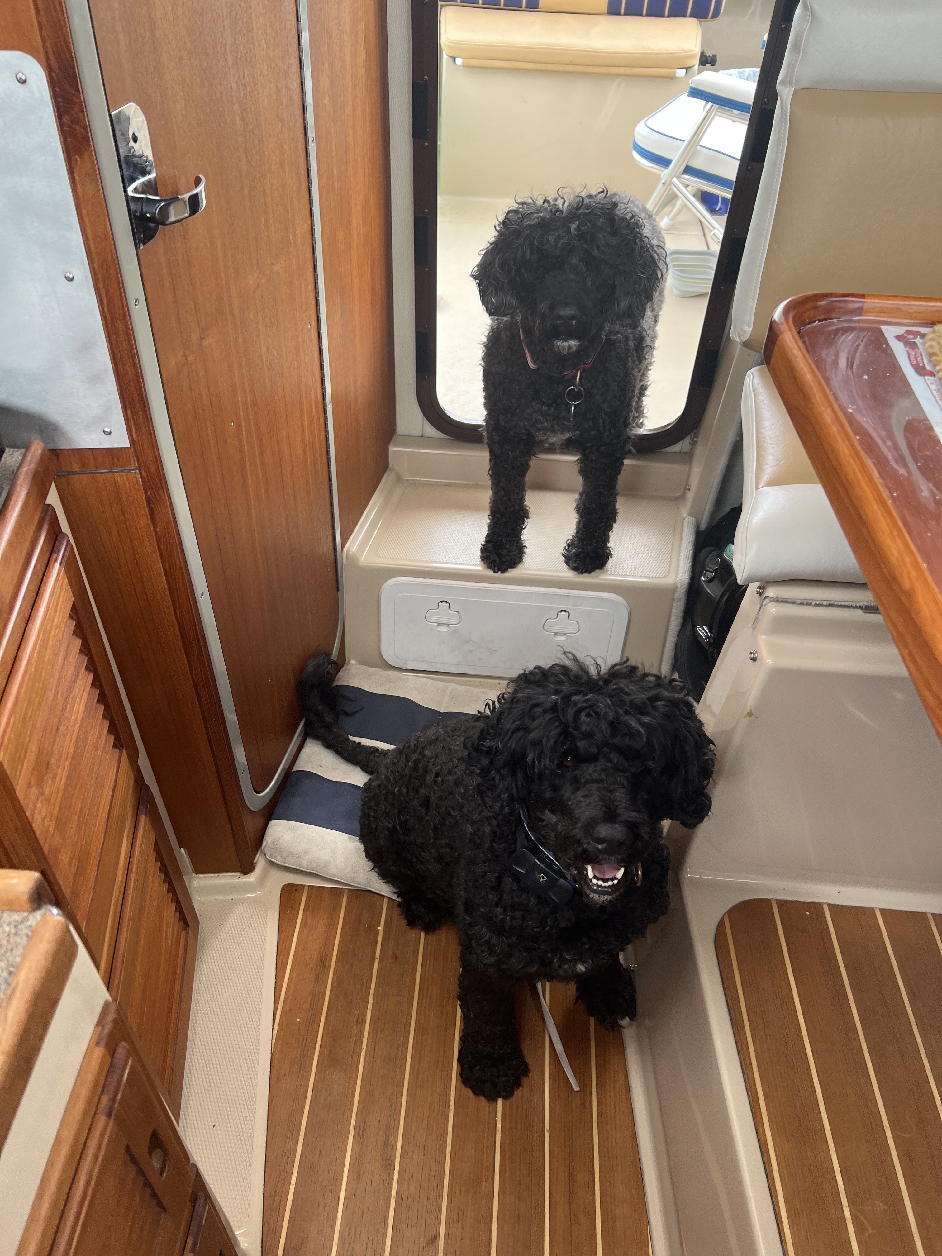 YOLO2013.jpeg | The Tugnuts